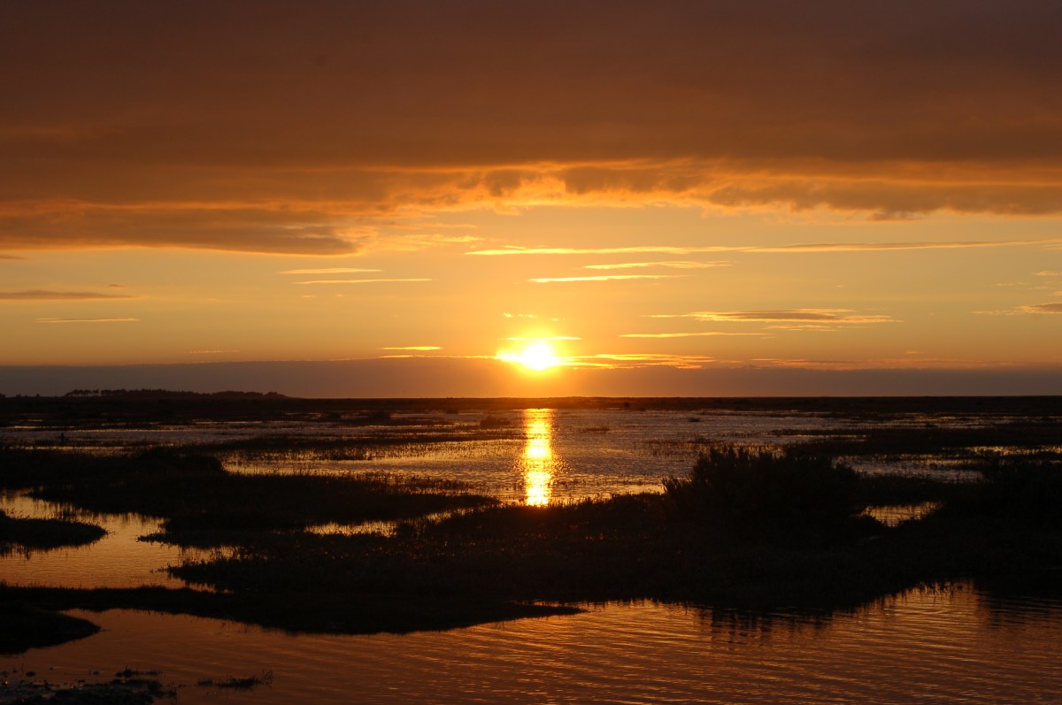 Contact – Chris Goldsmith